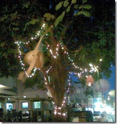 Birth of a Tree